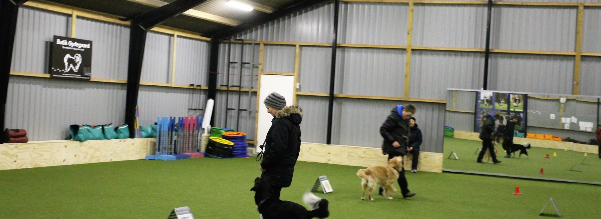 Hundehal en Hadsten Hundevenner Hundehal en Hadsten Hundevenner