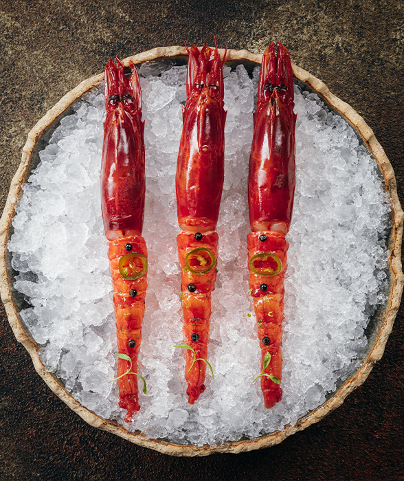 A new wave of contemporary Korean cuisine | HANU Dubai