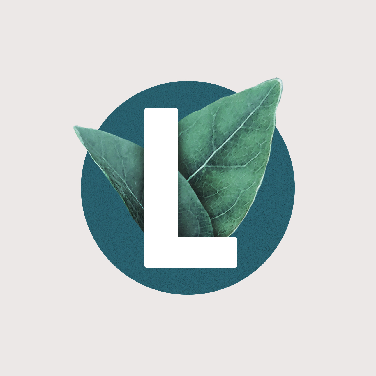 Hello Studio | ICA - LearningHub