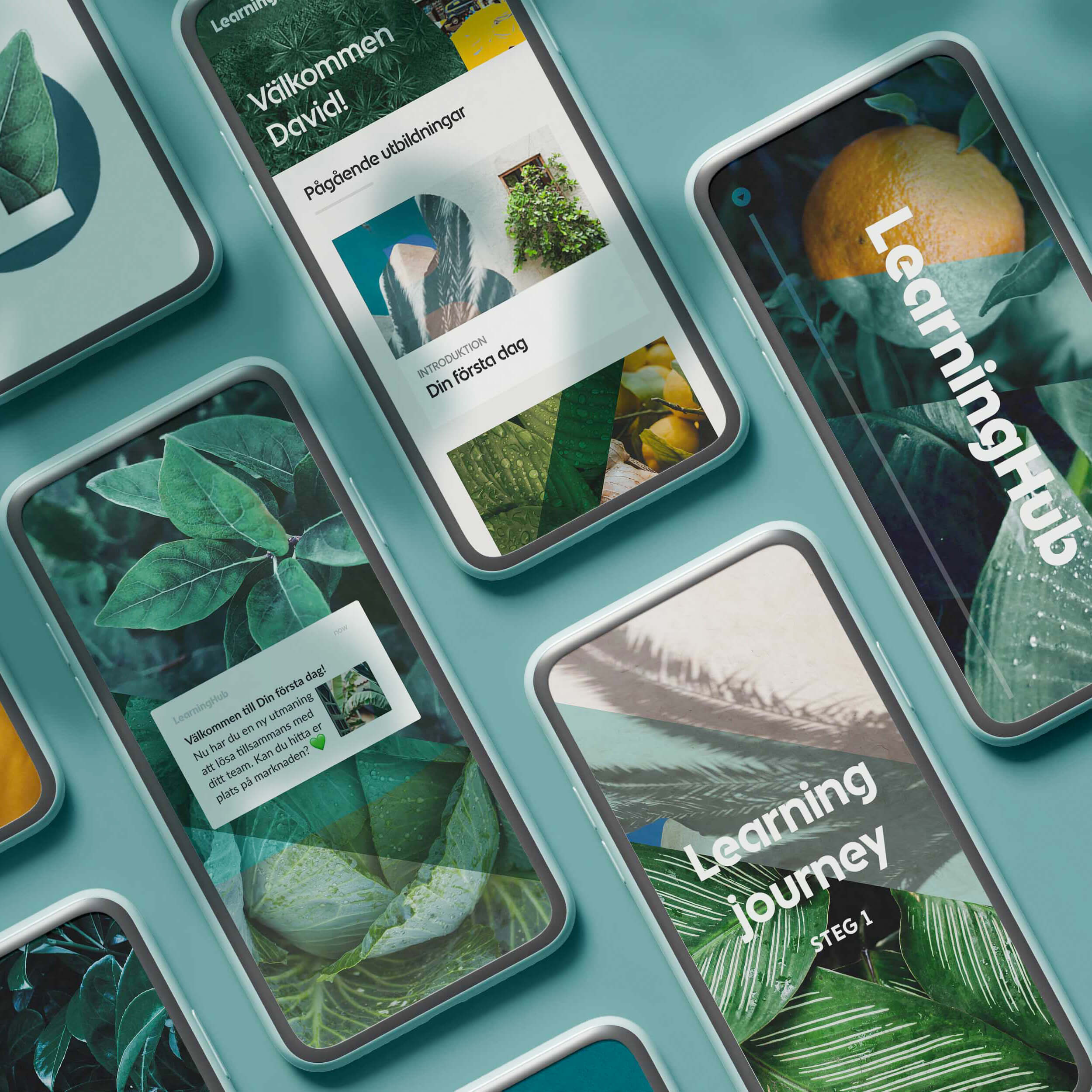 Hello Studio | ICA - LearningHub