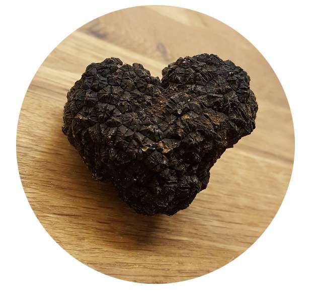 Hösttryffeln har anlänt till Hötorgshallen | Hötorgshallen