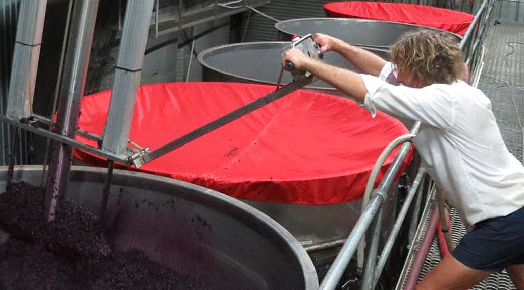 2012 Water Wheel Vineyards, Memsie Homestead Shiraz, Victoria ...