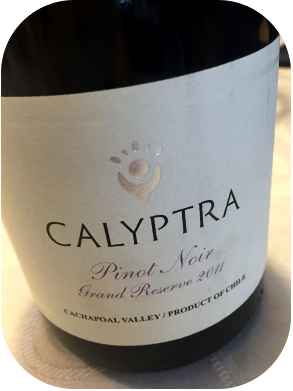 2011 Calyptra, Pinot Noir Grand Reserve, Cachapoal, Chile - Houlbergs ...