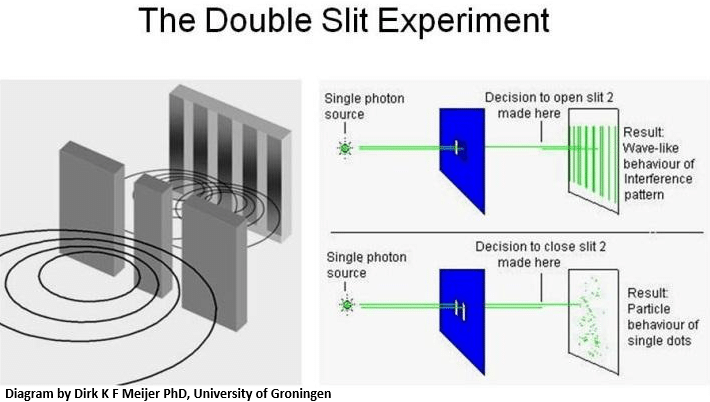 The Many Worlds Hypothesis - I-M