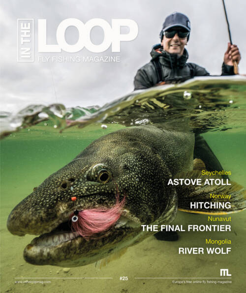 Magazines – In the Loop Magazine