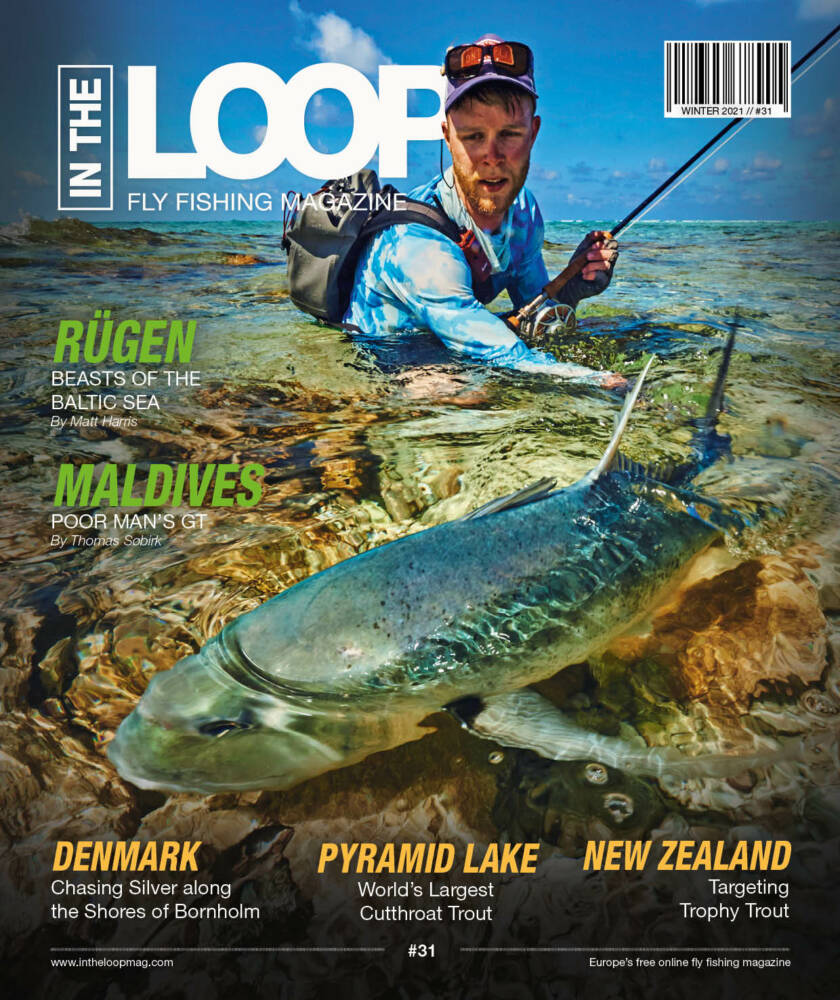 Magazine – In the Loop Magazine