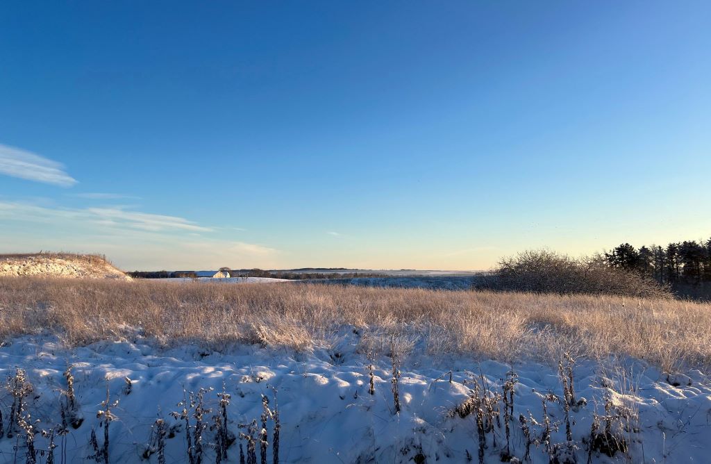 Hvad er Kyndelmisse? - Jammerbugtposten.dk