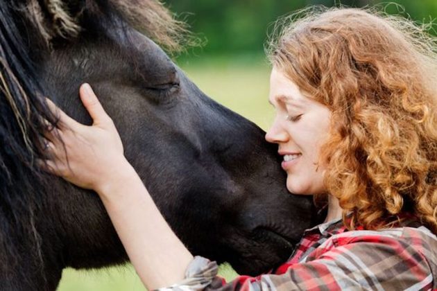 Hvad koster det at eje en hest? - Jammerbugtposten.dk