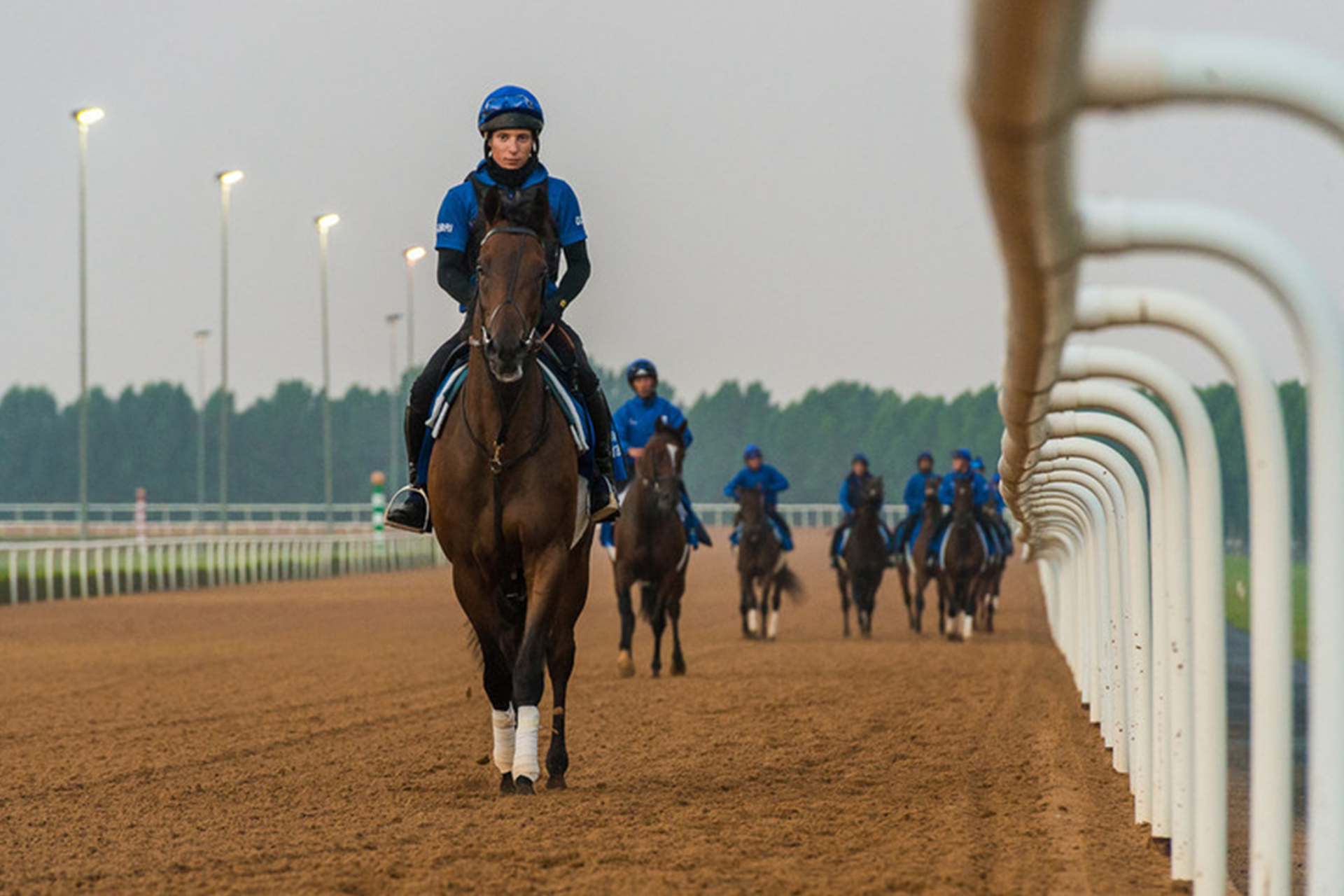 Gallery – Jamie Piggott Bloodstock