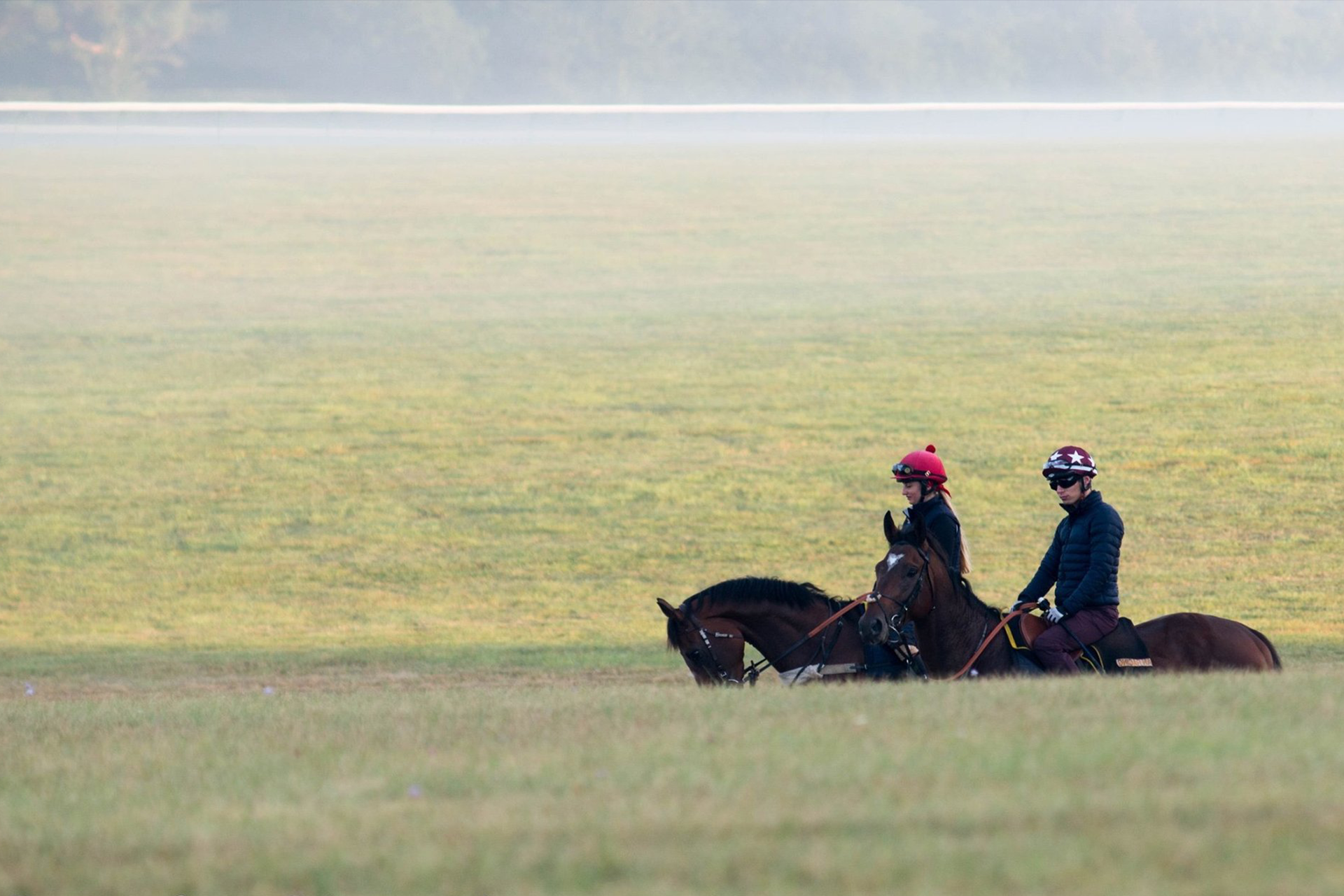 Gallery – Jamie Piggott Bloodstock