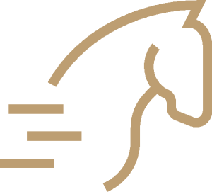 Jamie Piggott Bloodstock – The Leading Buyer Of Breeze Up Horses In The ...