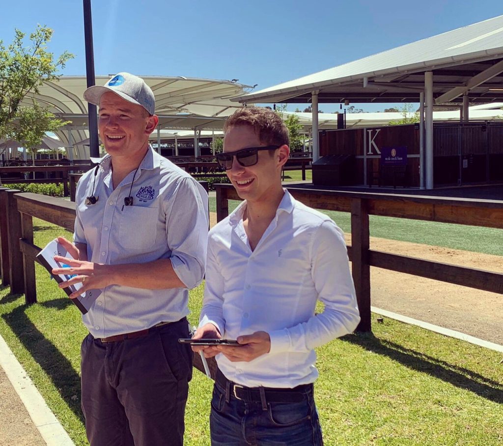 Gallery – Jamie Piggott Bloodstock