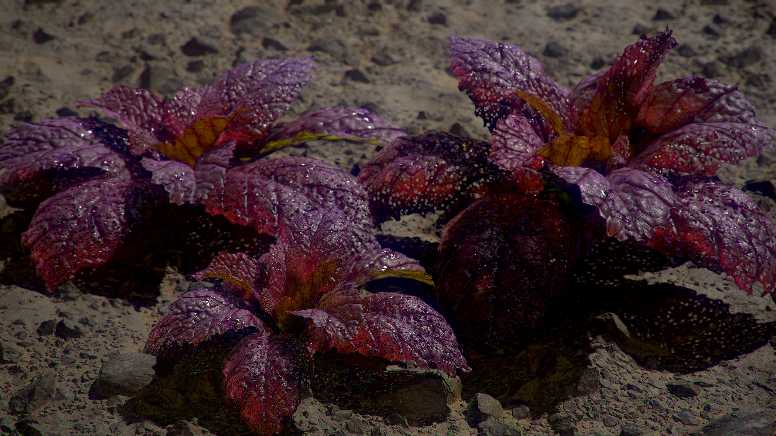 Creating an Aged Wood Texture in Substance Designer | Derk Elshof – Levelup Digital