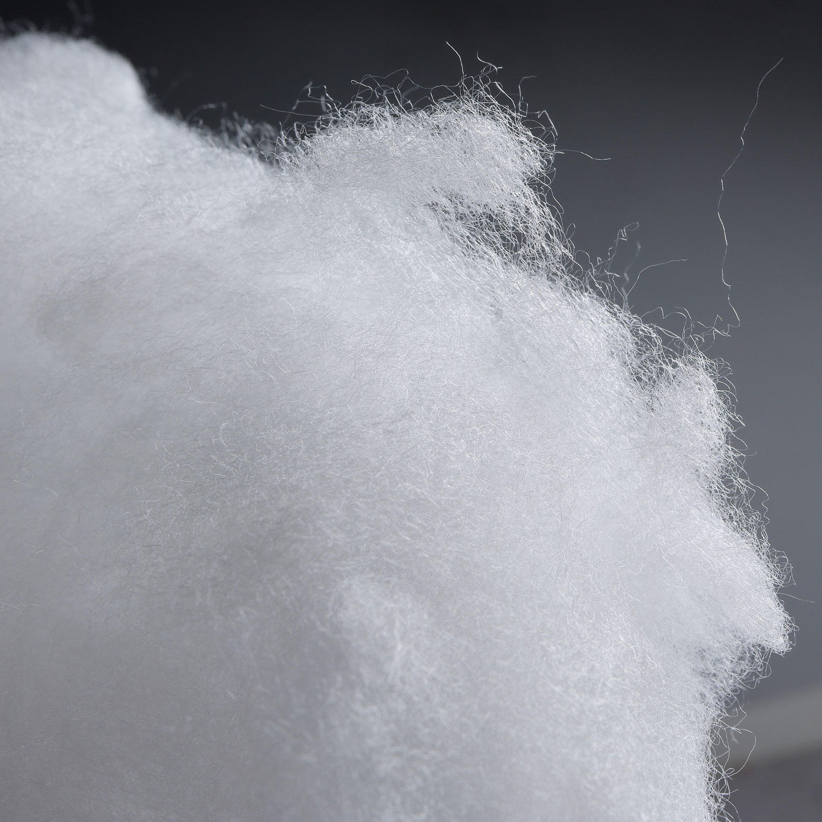 BioGreen padding polymer - Life Materials