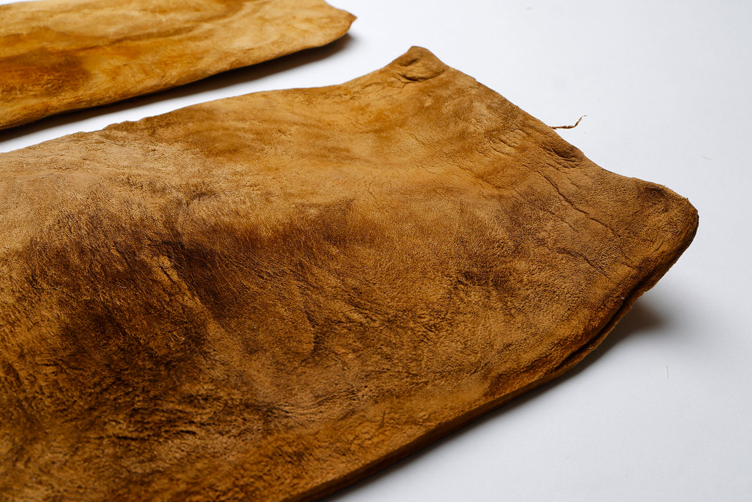 MuSkin - Life Materials