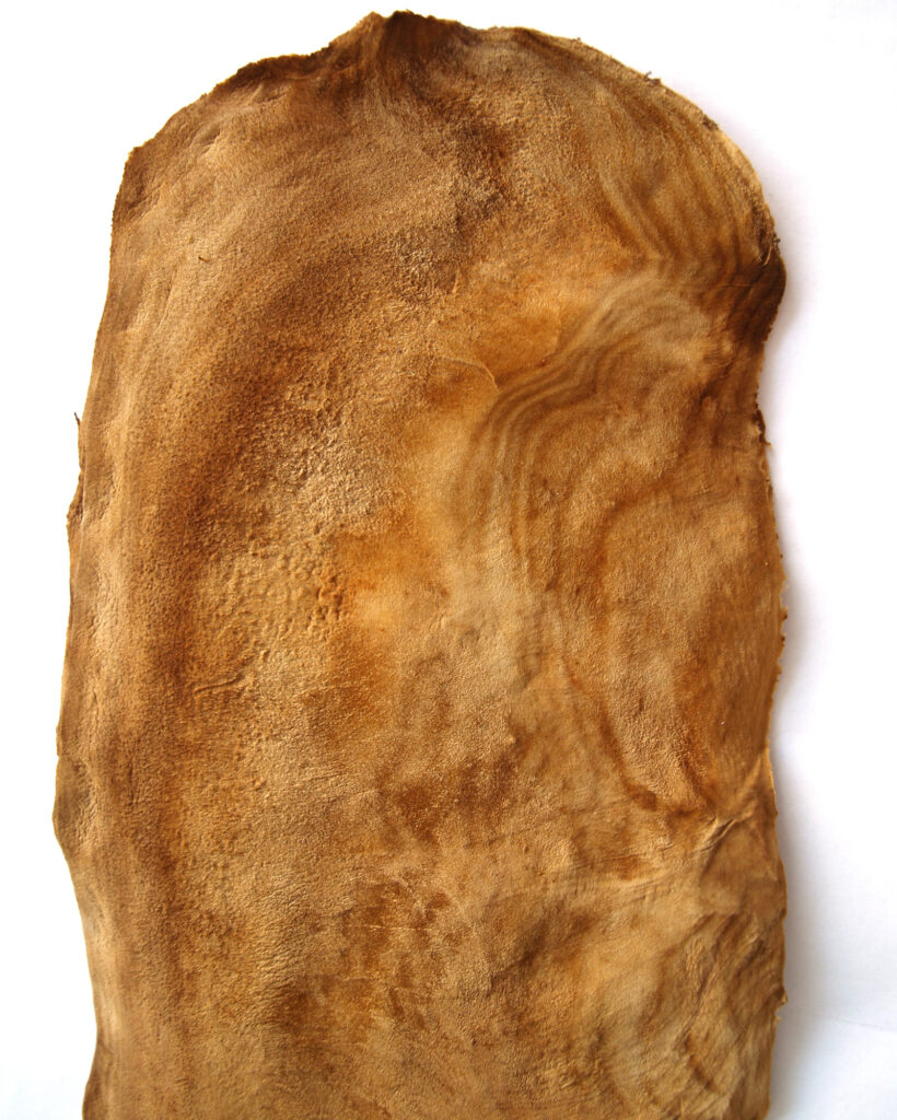 Muskin extralarge unique and rare pieces - Life Materials