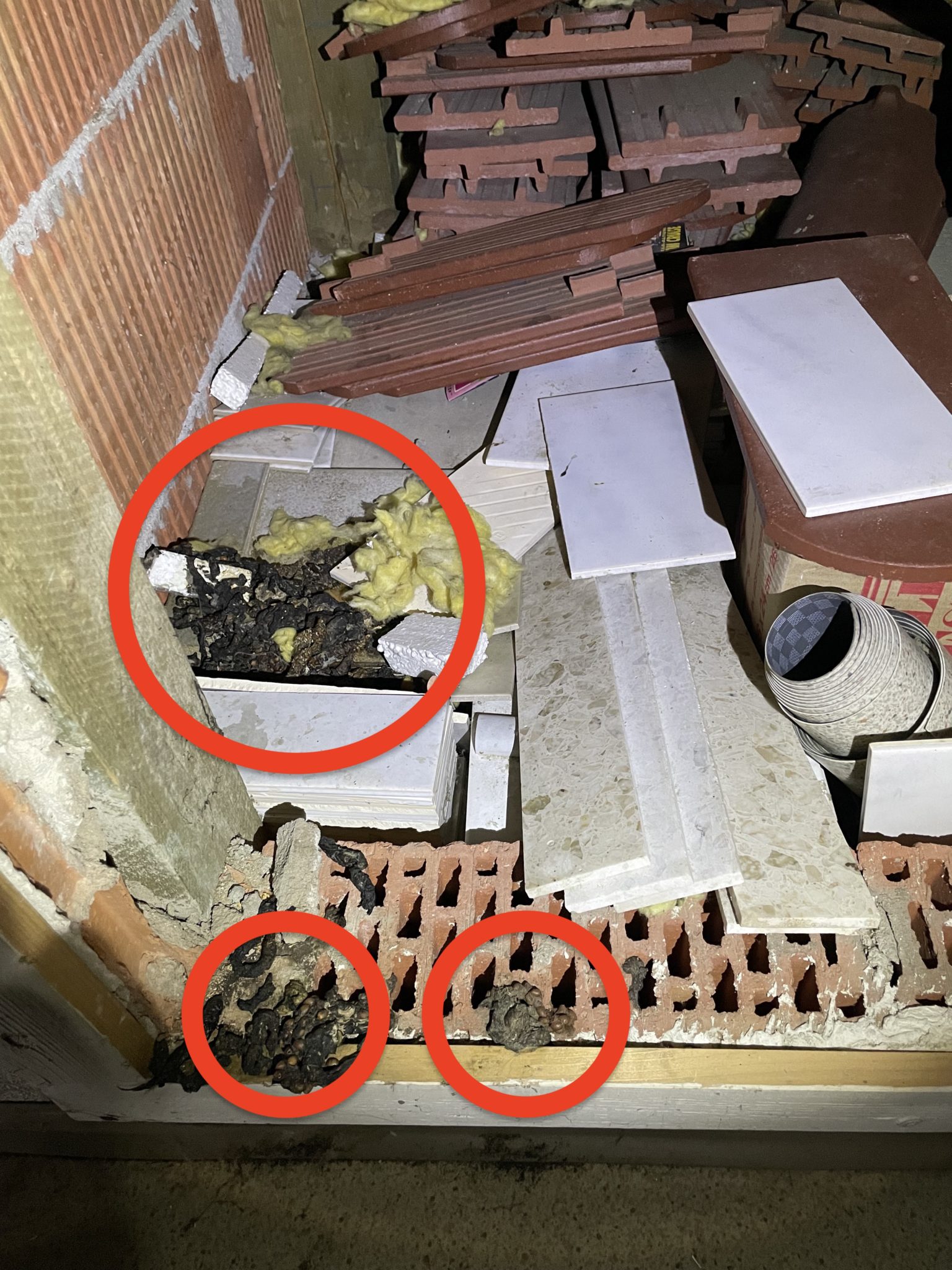Dachboden Marder Nest