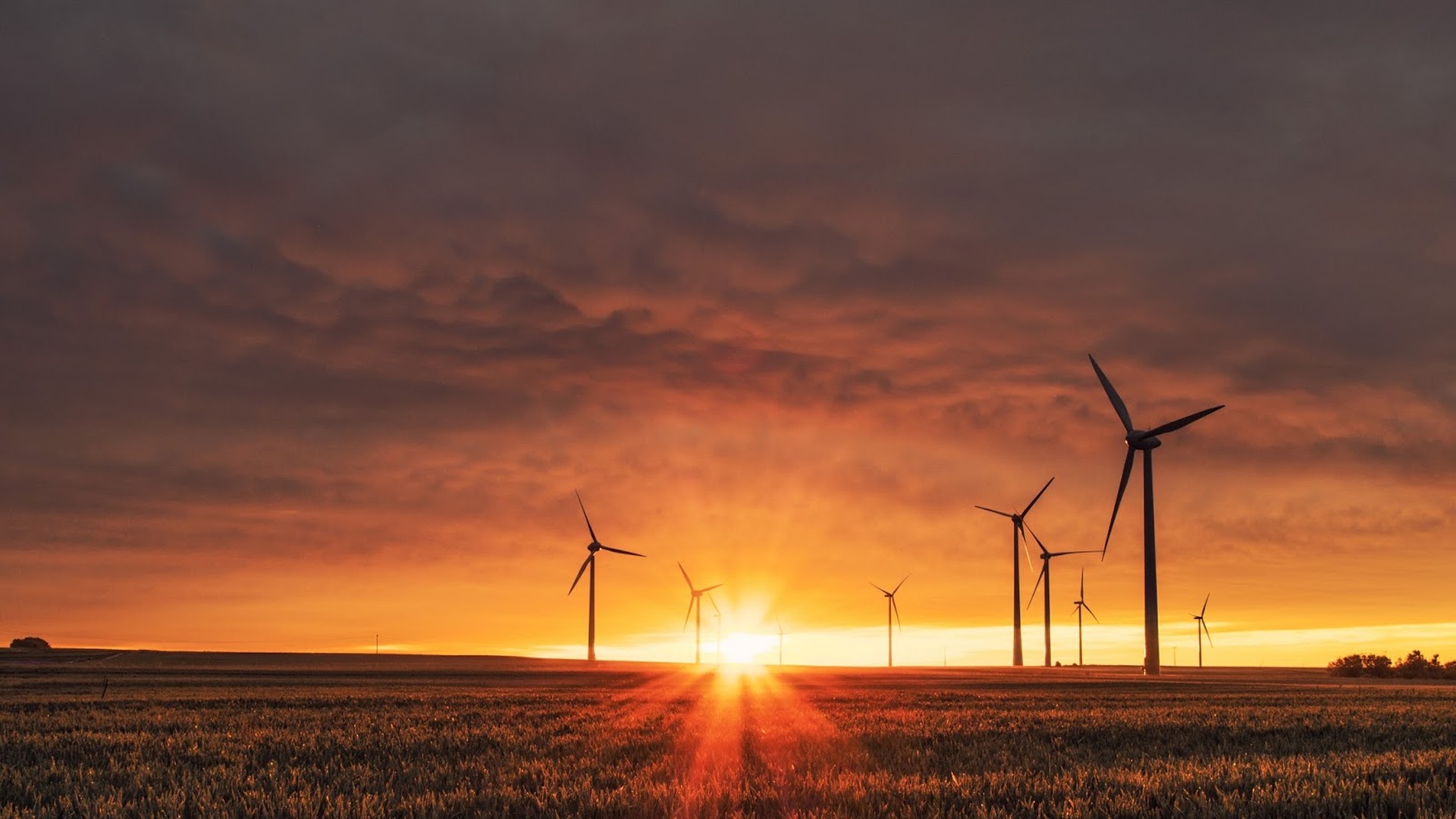 Sol, Vind och Vatten – Ny Text - Mat och Klimat