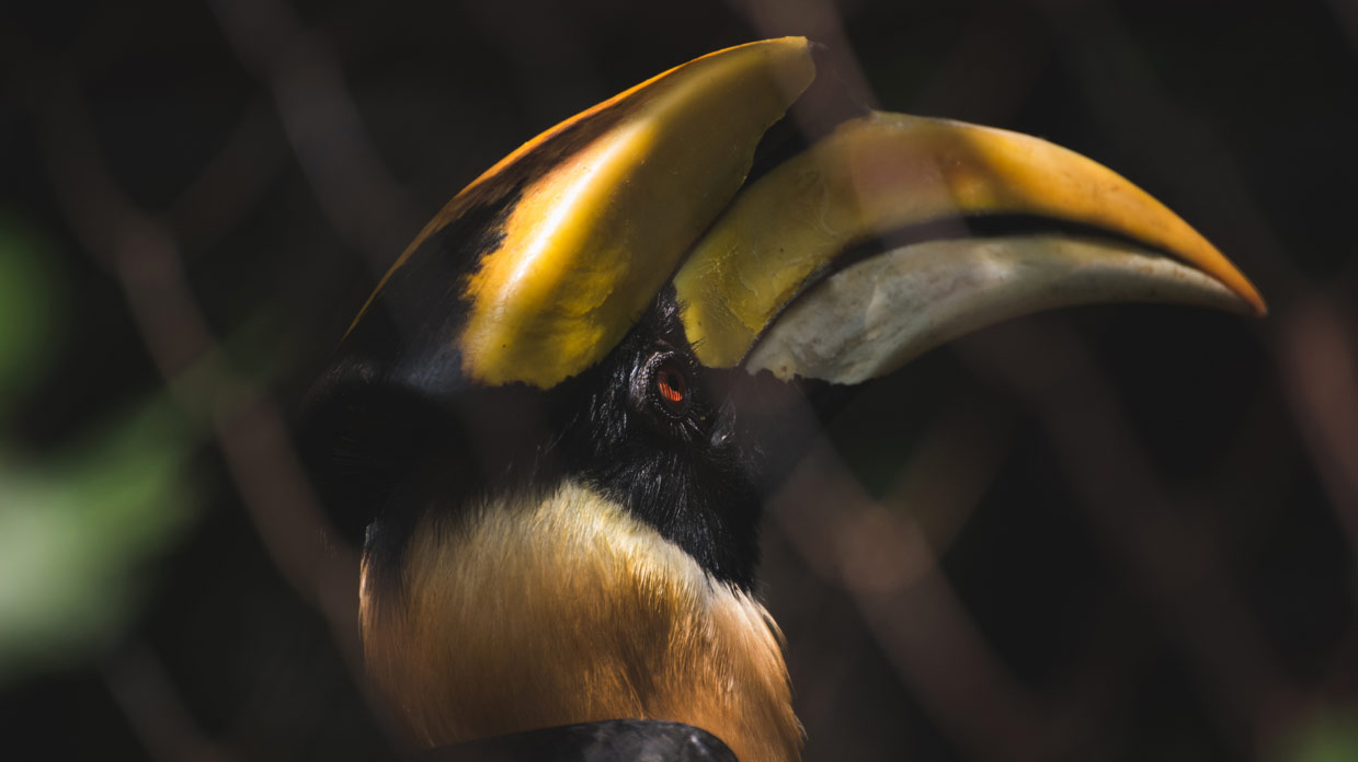 It's a sign: Animal welfare and zoo type are predictors of animal ...