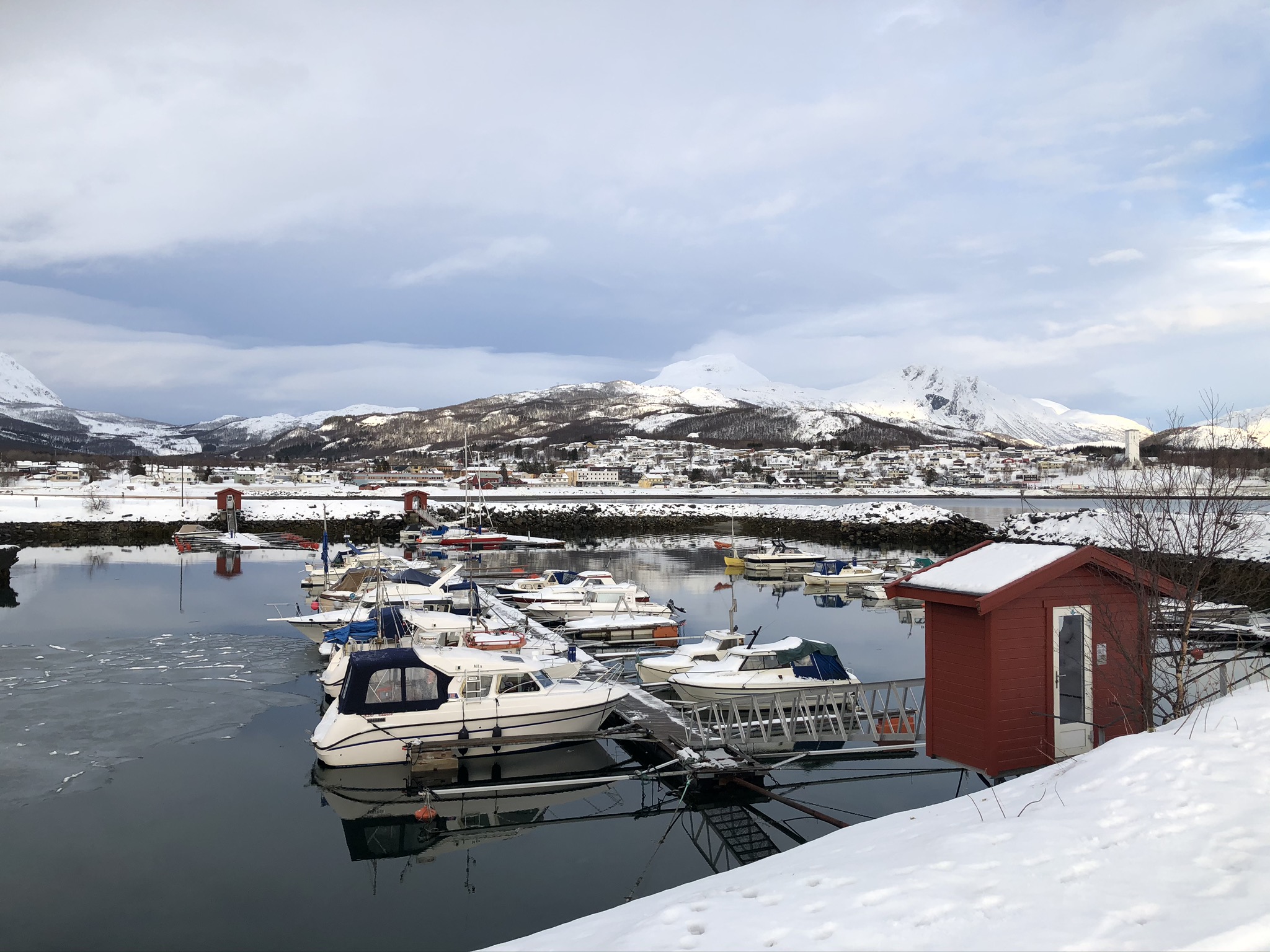 Turist i Bjerkvik. - MELLEM linjene