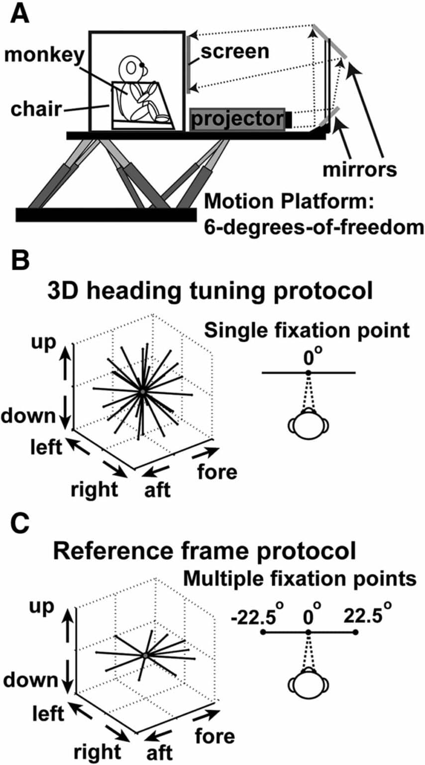MOTION SYSTEMS 2DOF 3DOF 6DOF MOTION PLATFORMS
