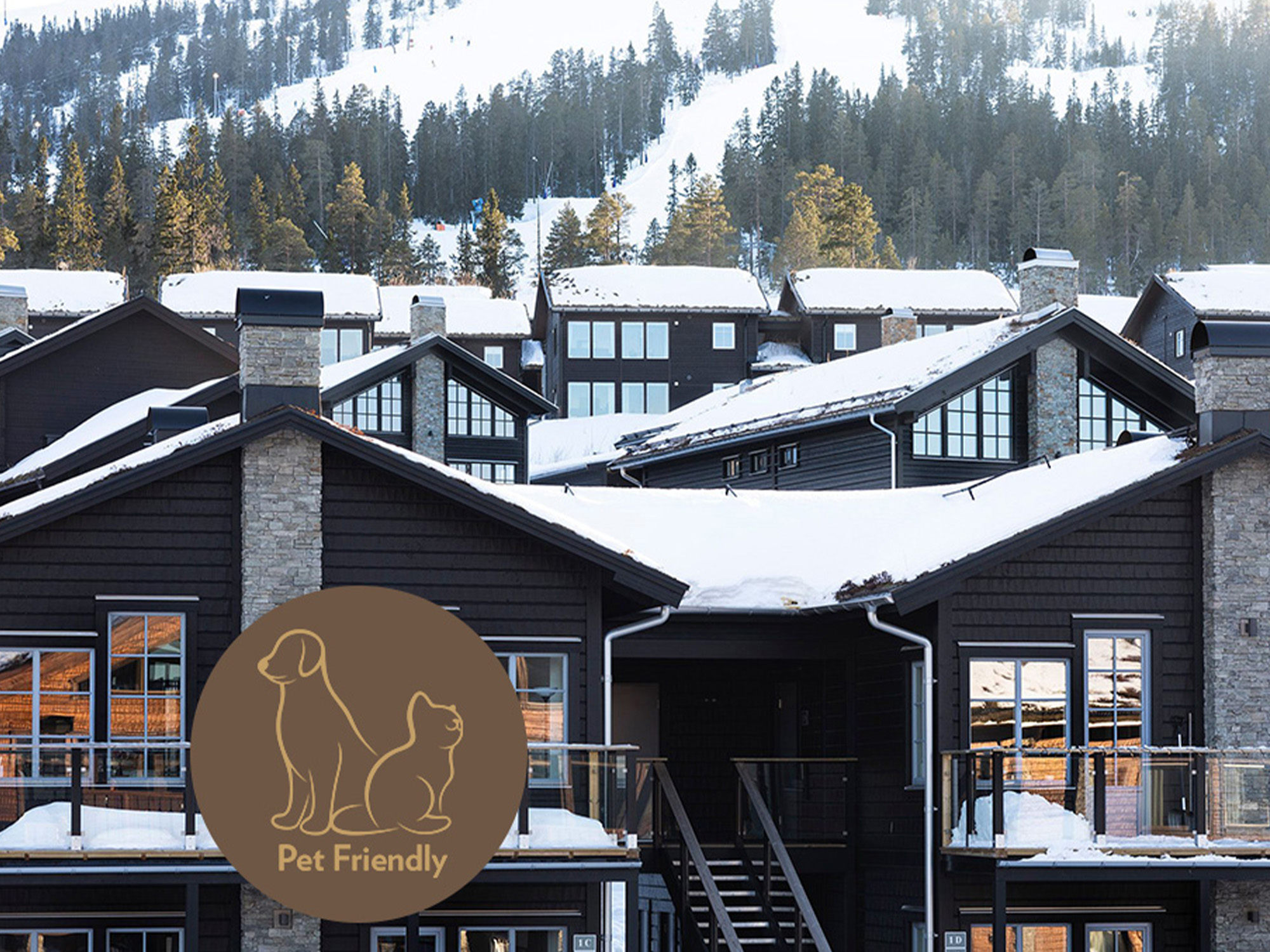 Mountain Plaza 3C (Pet-friendly) - Mountain Lodge