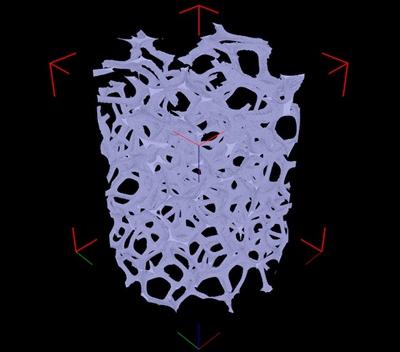 X-ray computed tomography of reticulated vitreous carbon electrodes ...