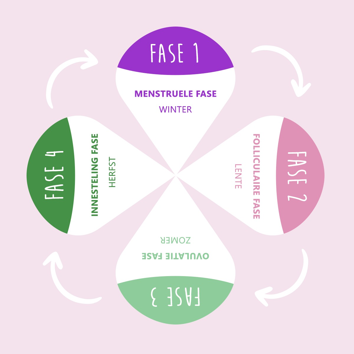 De Cyclus Fases - My Pregnancy Wish webshop