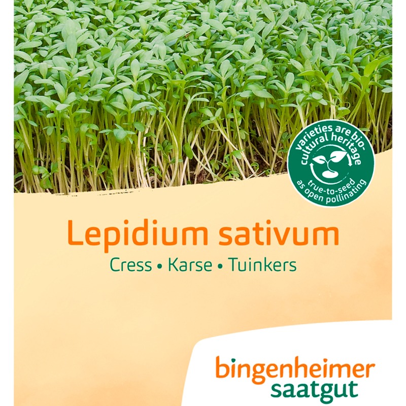 karse-800-800 - Naturplanteskolen