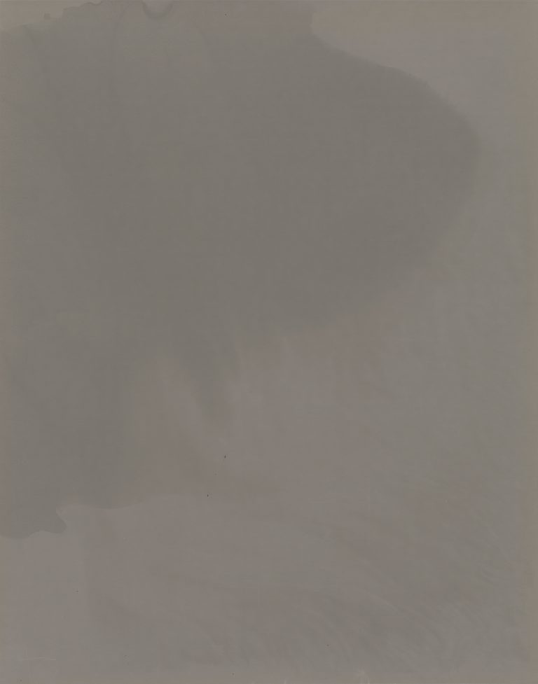 Silver Migration - Nicolai Howalt