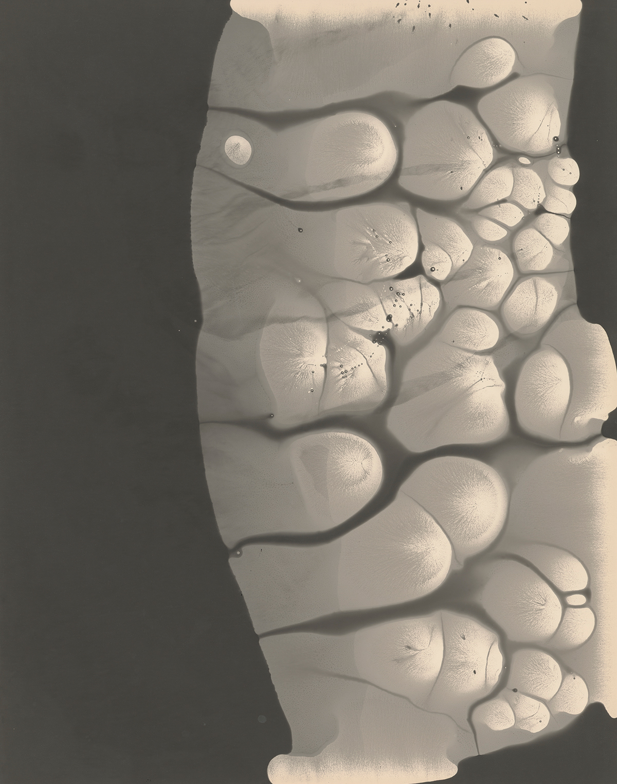 Silver Migration - Nicolai Howalt