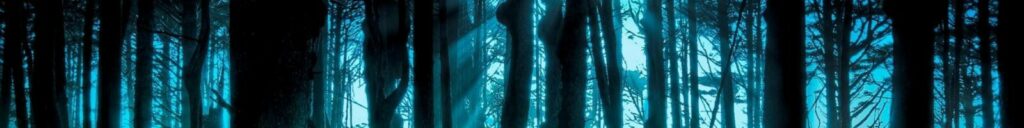 Vampires and the Undead – Nightbringer.se