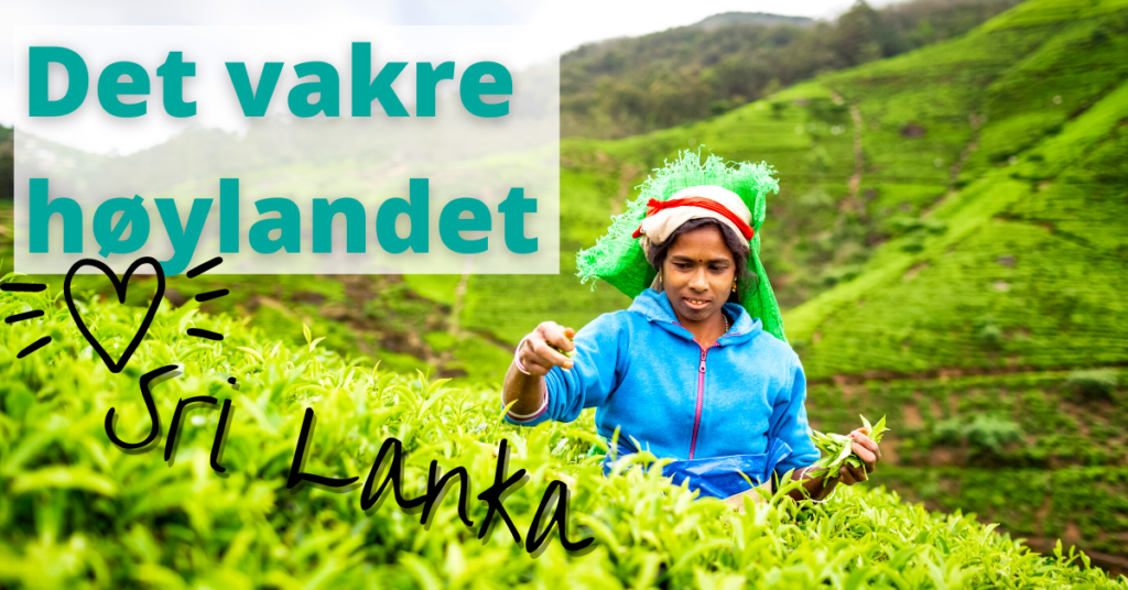 Det vakre høylandet på Sri Lanka | Merete skriver om Sri Lanka