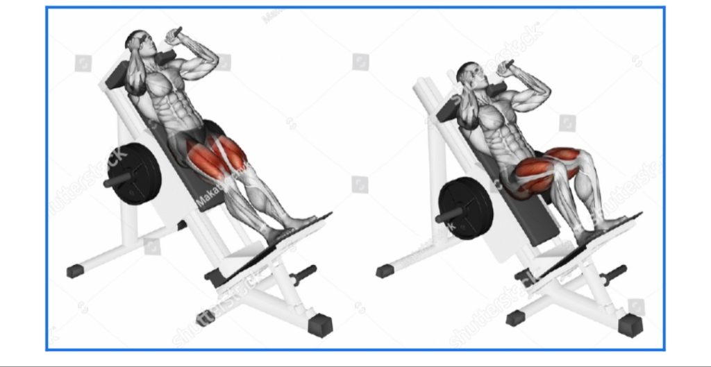 Hack Squat Guide – How to Do, Muscles Worked, Benefits & More ...