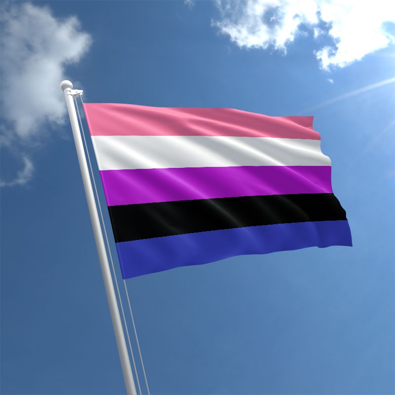  Trans queer gender fluid gender nonconforming C mo Traducirlos