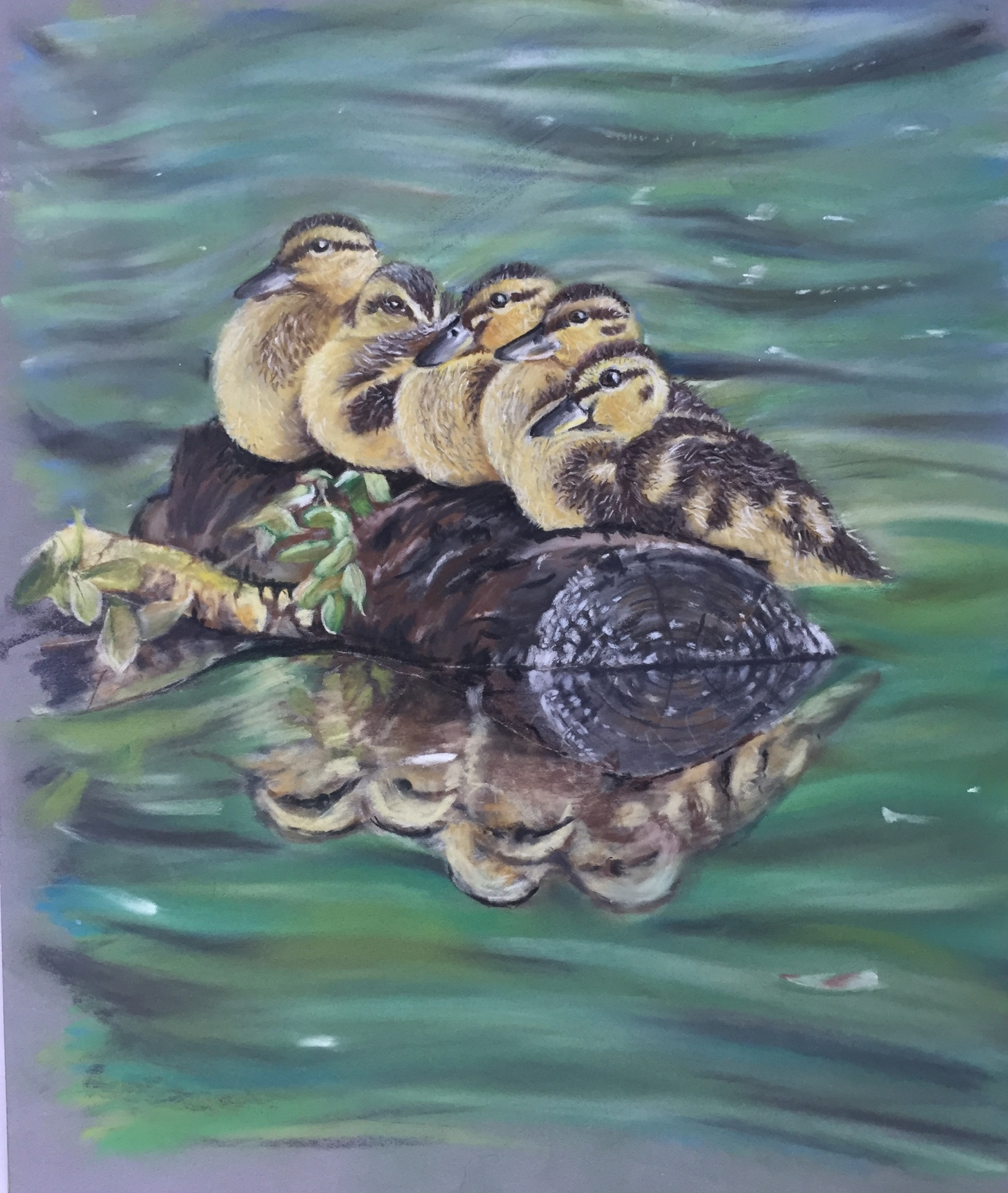Duckling Family – Pastel Pencil – Fine Art Drawings by Paul