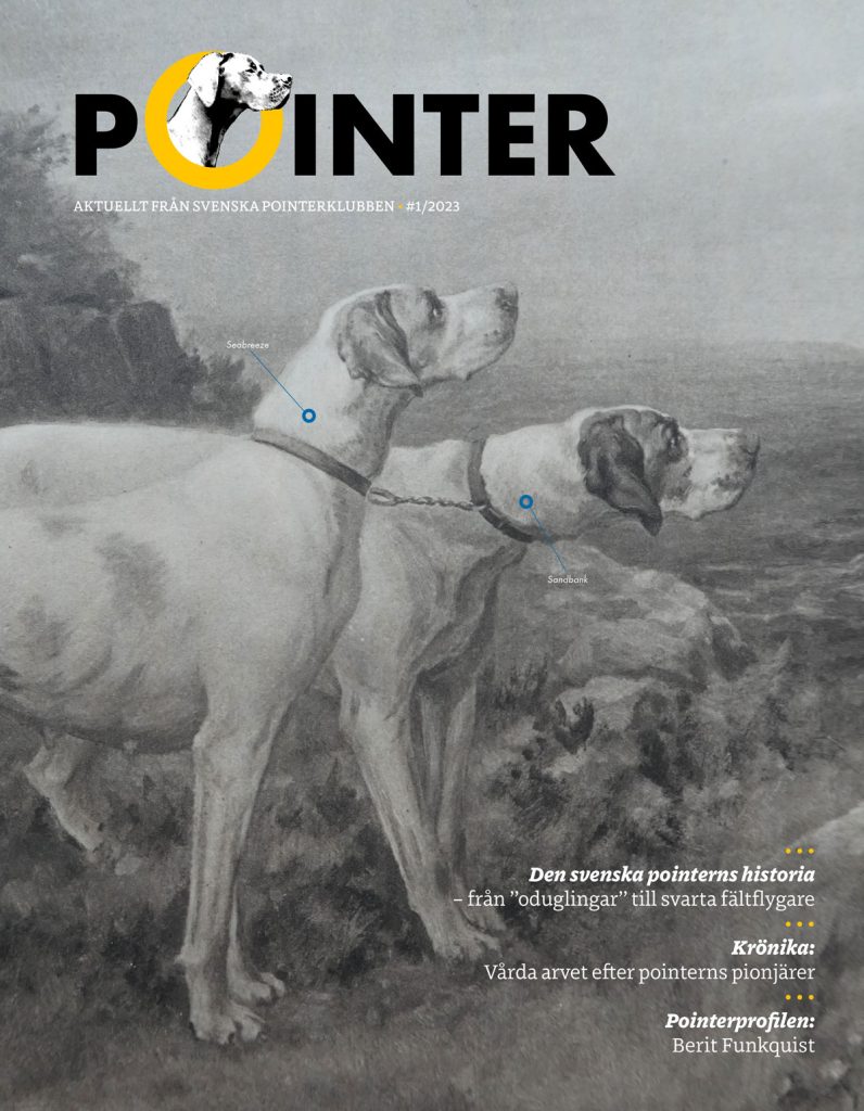 Tidningen Pointer - SVPK