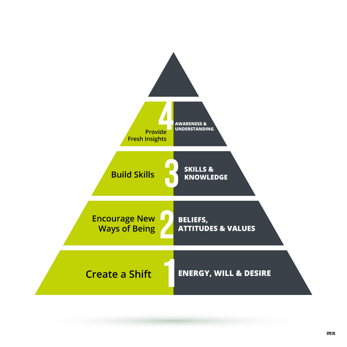 ABOUT US | Positive Deviant