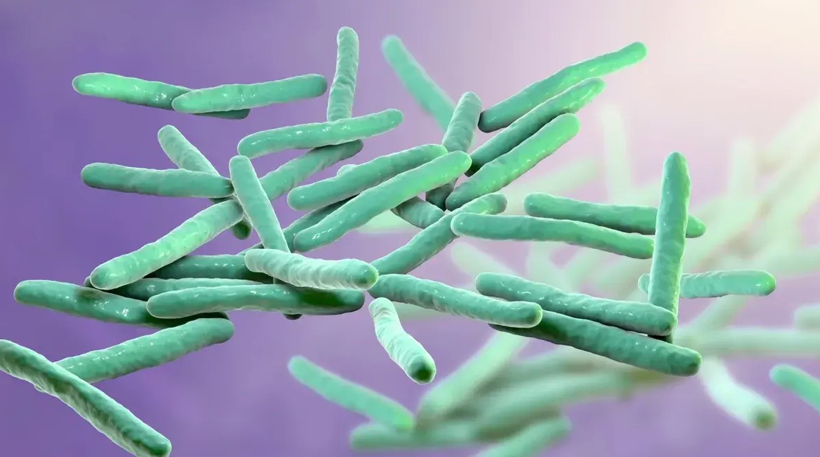 Casi di lebbra in aumento negli Stati Uniti - reccom.org