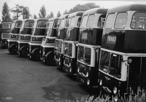 Blue Buses – reptonvillage.org.uk