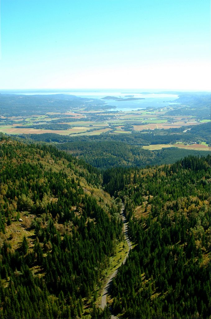Turer på Vestskogen | Sandenett