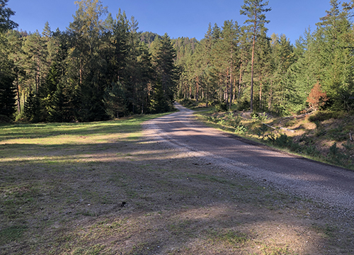 Turer på Vestskogen | Sandenett