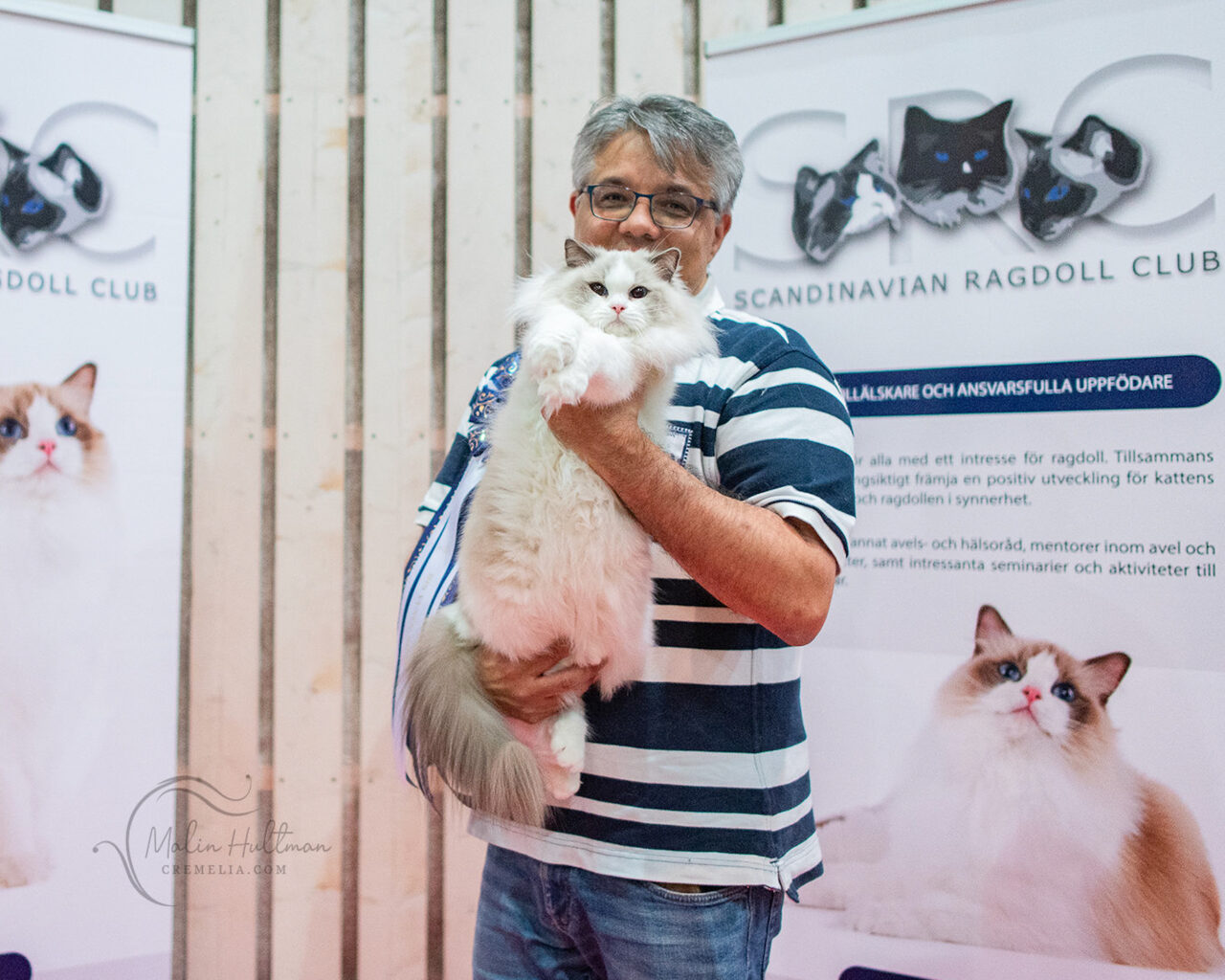 Breed-BIS Ragdoll 2023 • Scandinavian Ragdoll Club