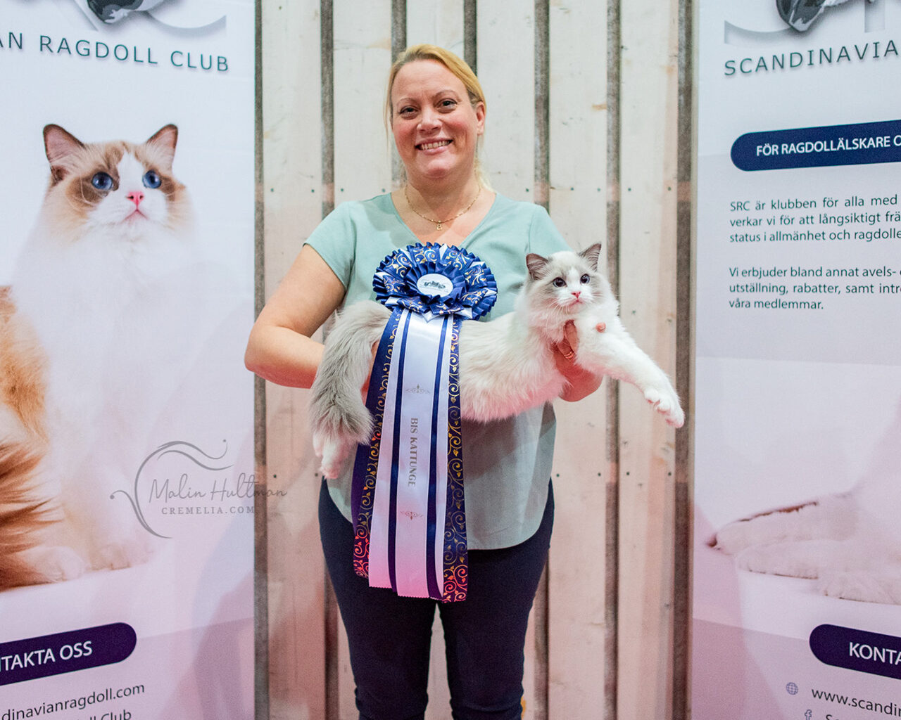 Breed-BIS Ragdoll 2023 • Scandinavian Ragdoll Club