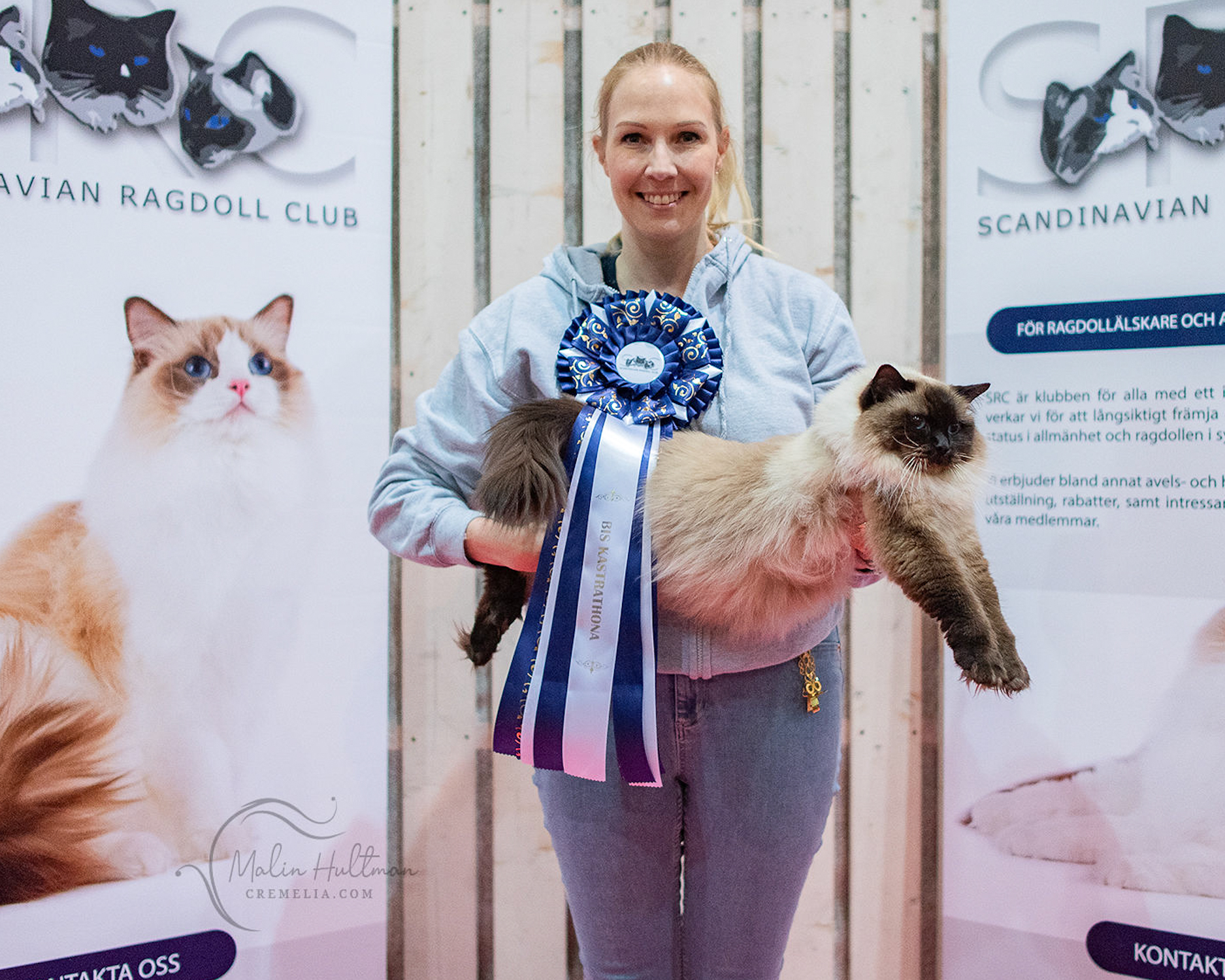 Breed-BIS Ragdoll 2023 • Scandinavian Ragdoll Club
