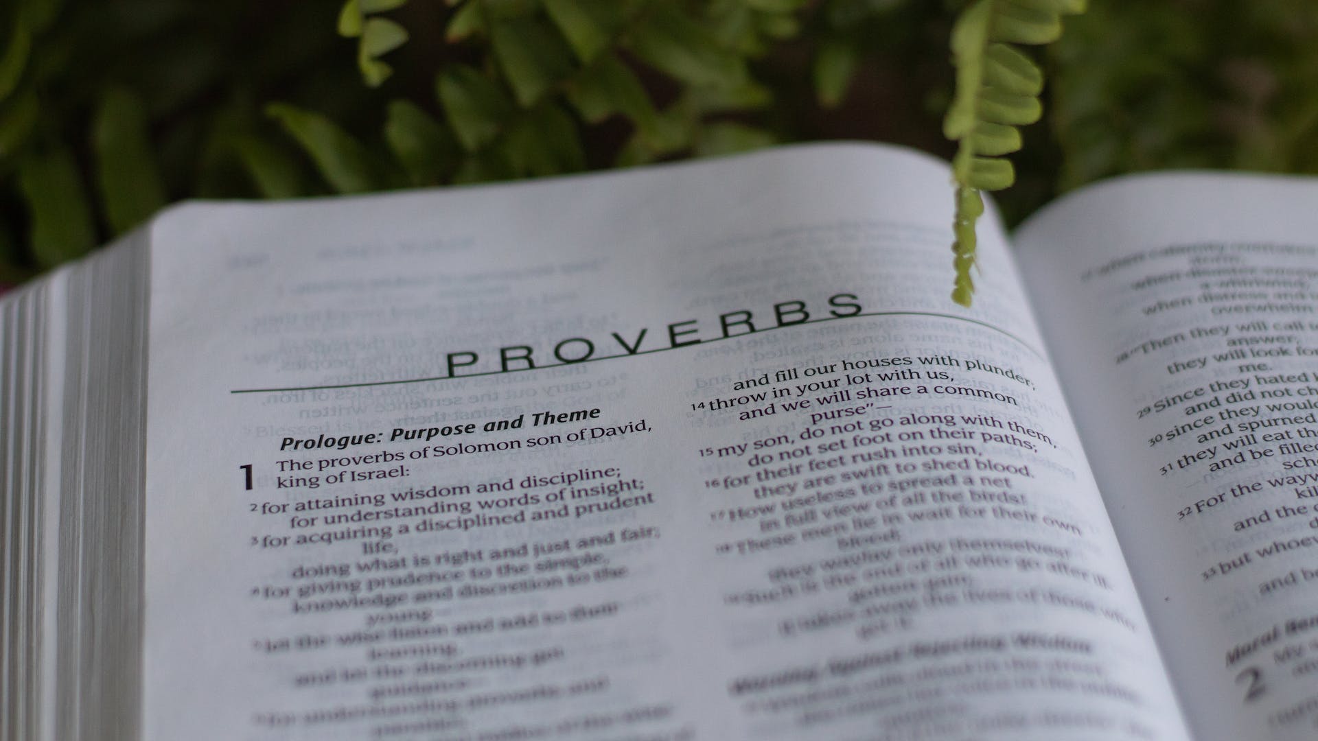 #StudyProverbsWithMe - DAY 20 - PROVERBS 20 - SCLC DAILY DEVOTION