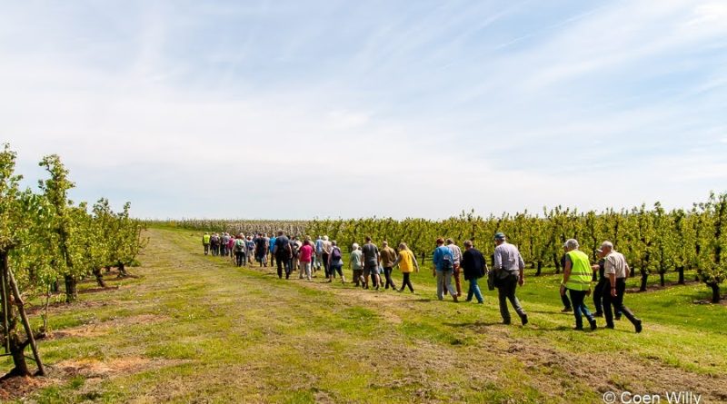 Verslag en foto’s van de wandeling in Waanrode – Senioren KBC Kring Leuven
