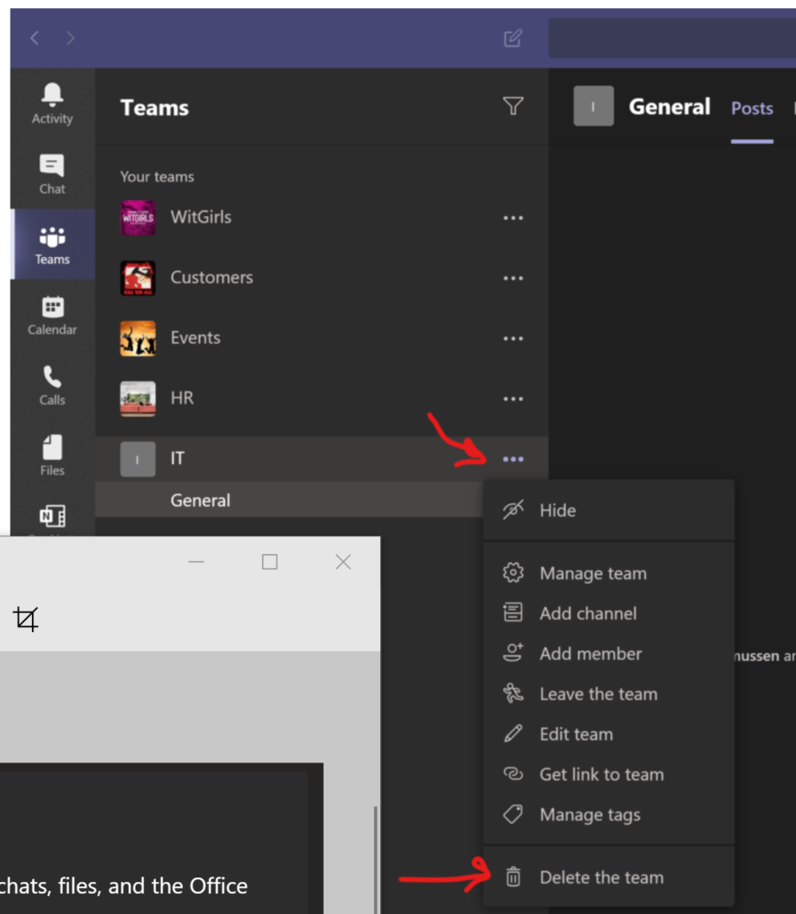Delete or Archive a Team – LISE RASMUSSEN