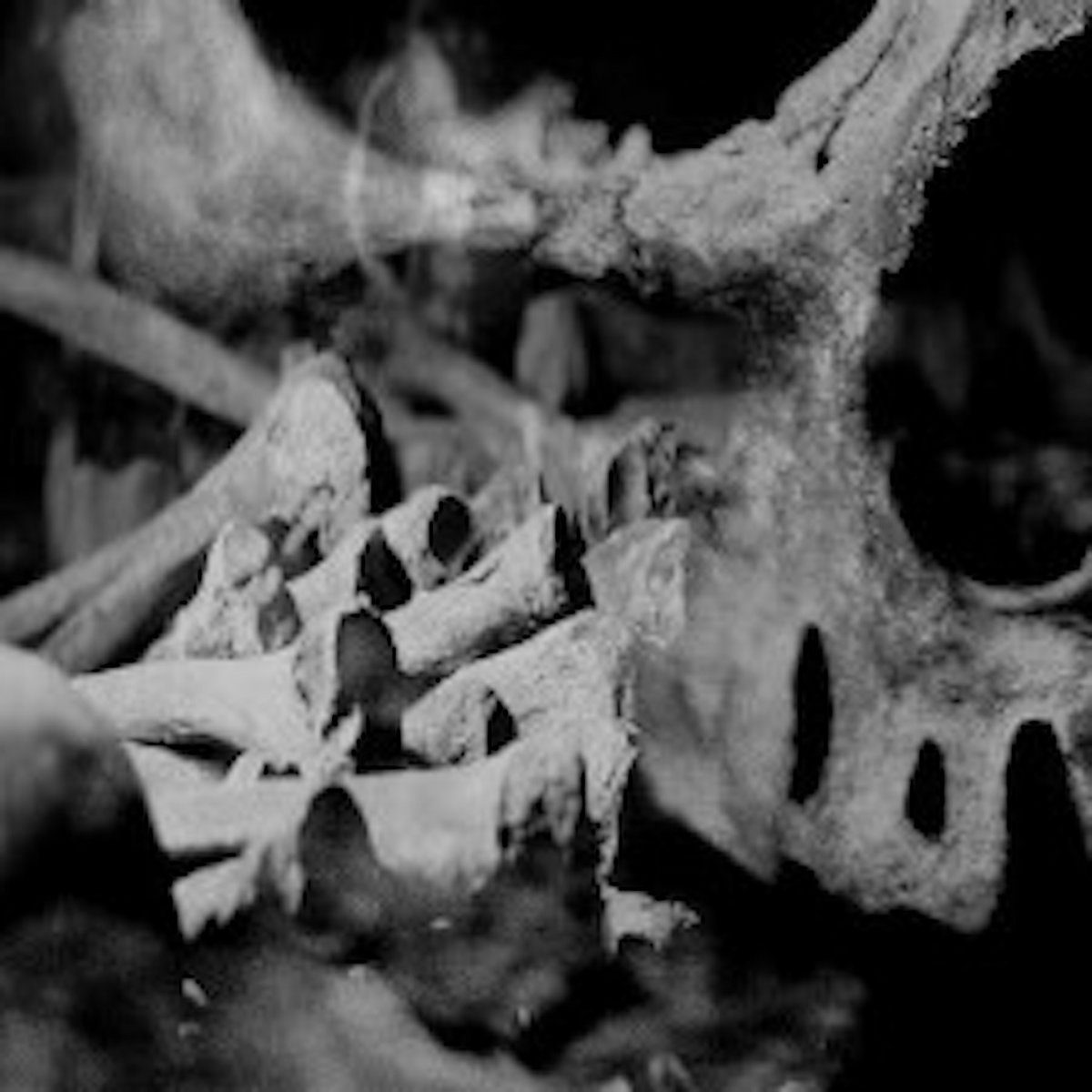 ŠKAN - Part I of IV MLP - Blood Harvest Records