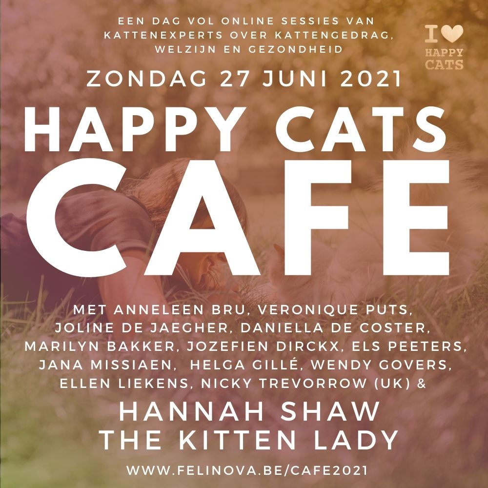 Happy Cats Café – Zondag 27 juni 2021 | Felinova | I love Happy Cats